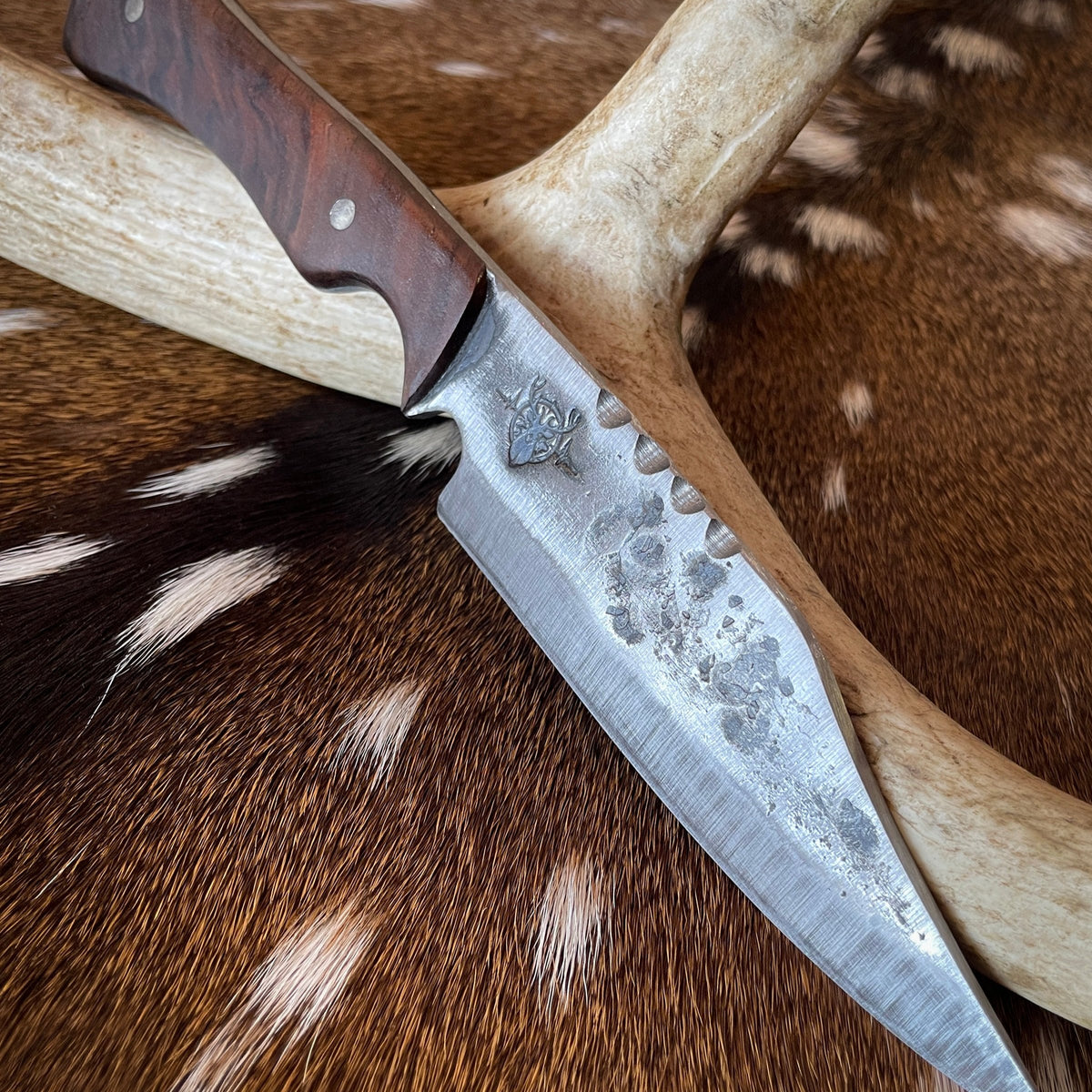Heartbeat of a Hunter Skinner Knife – Precision and Craftsmanship in Y